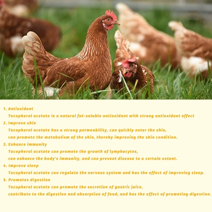 Broiler Chicken Premixed Feed Grows Fast,Strong And Well,With Low Cost ...