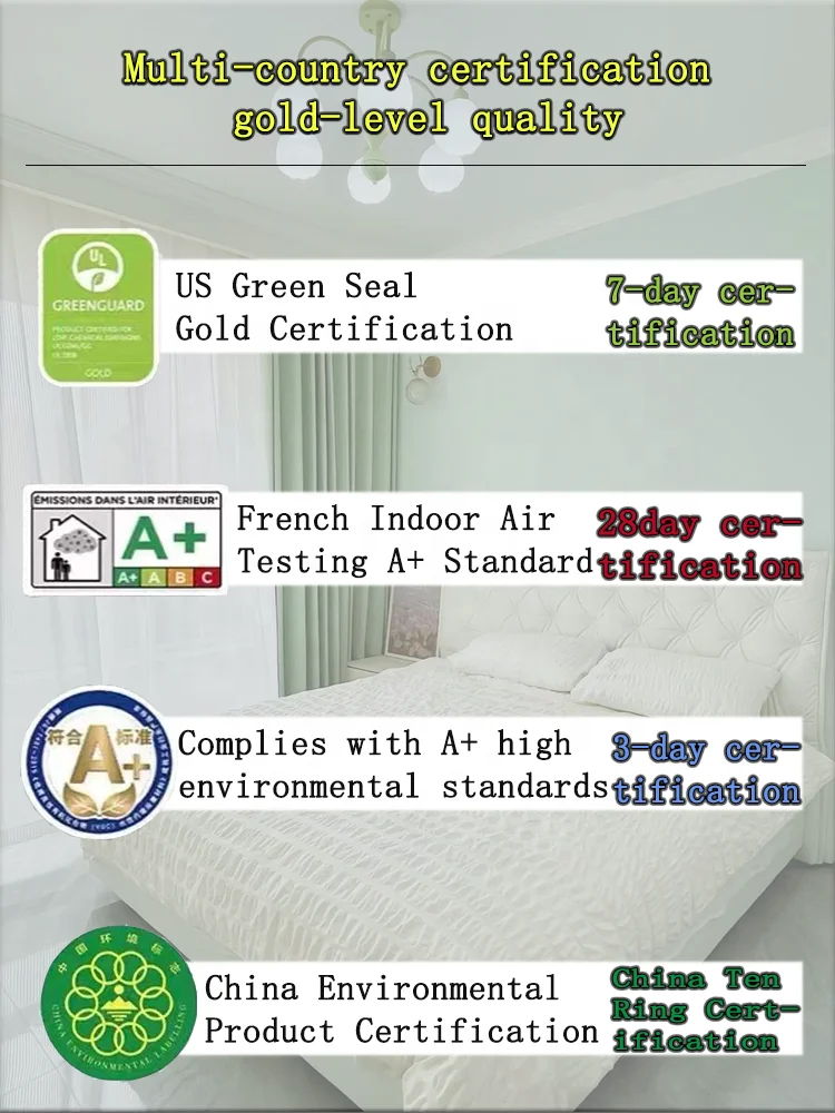 Quick Coating Powerful Penetration Roughening Effective Wall Floor ...