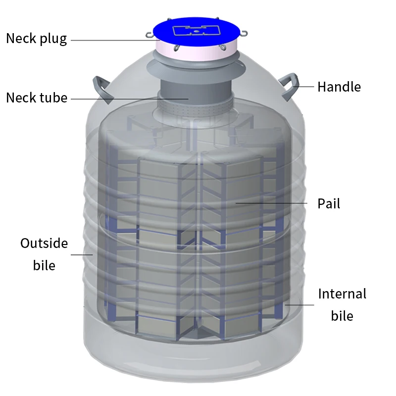 Liquid Nitrogen Container Dewar YDS - Cost-Effective Cryogenic Tanks ...