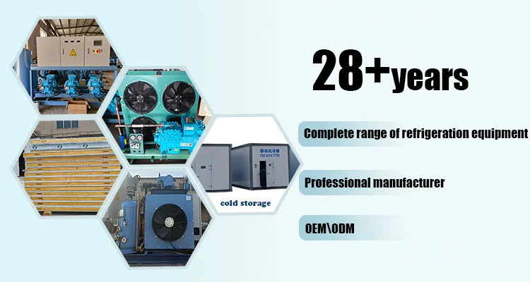 Industrial Cold Storage Unit, Cold Storage Machine, Storage Room ...