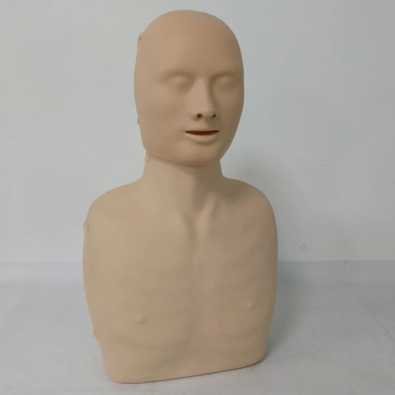 Resuscitation Models - High-Quality CPR Training Manikins