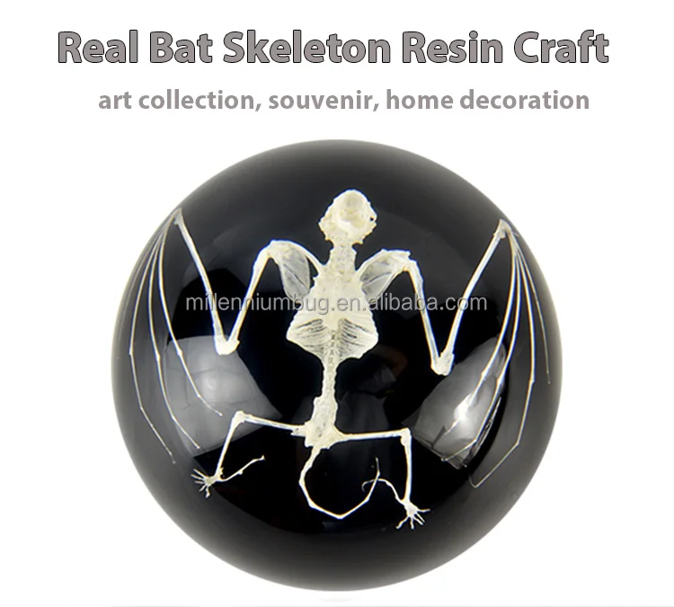 Taxidermy Specimen Embedded Resin Gothic Style Halloween Unique Crystal ...