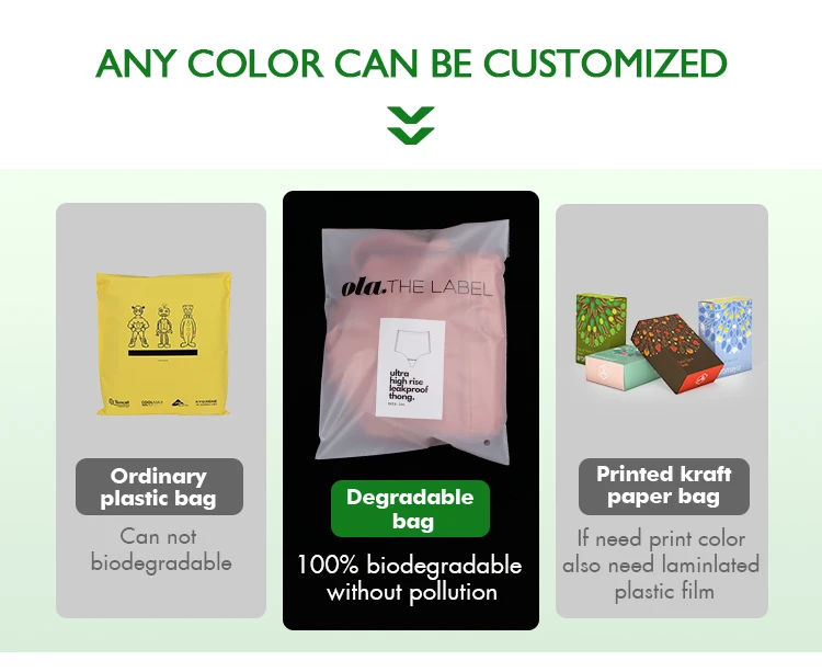 Custom Frosted Biodegradable Compostable Pla Self-adhesive Eco Friendly ...