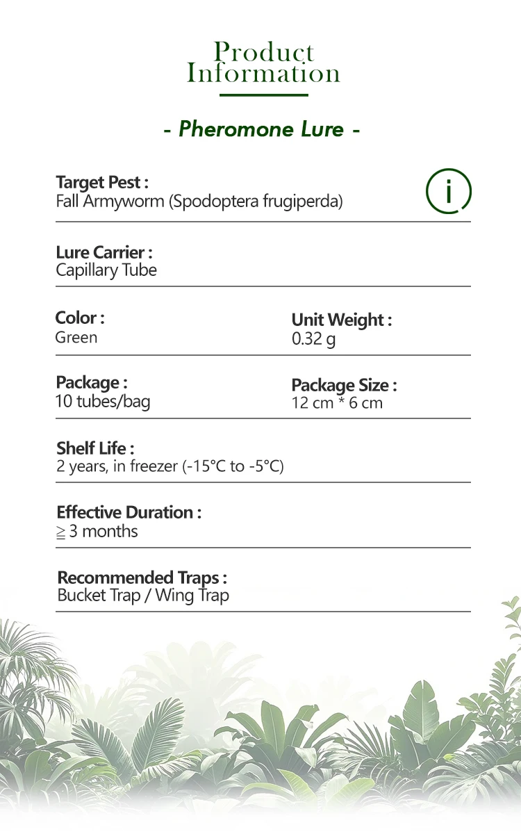 Eco-Friendly Fall Armyworm (Spodoptera Frugiperda) Pest Control ...