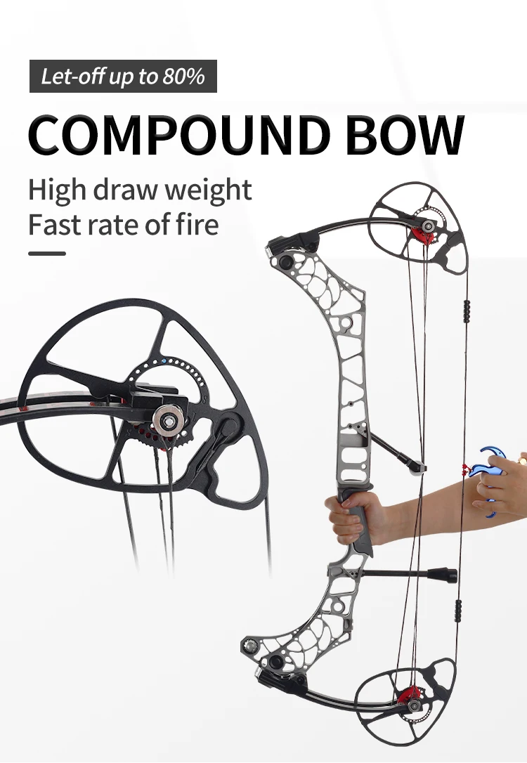 Compound Bow T600 Outdoor Sports Composite Archery Hunting Shooting ...