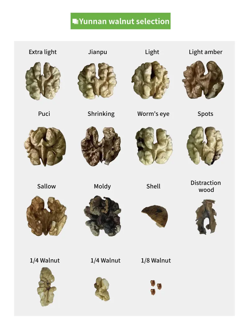 Wholesale Natural Organic First Grade White Walnuts In Shell Bulk Raw ...