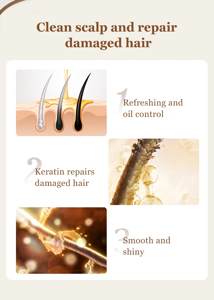 DIWEI Customized Logo Argan Oil Shampoo - Nourishing Hair Care
