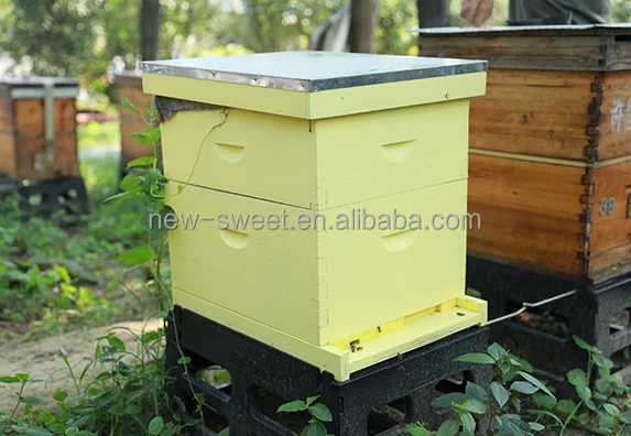 China Pine Wooden Beehive Box - 3 Layers Langstroth 10 Frame