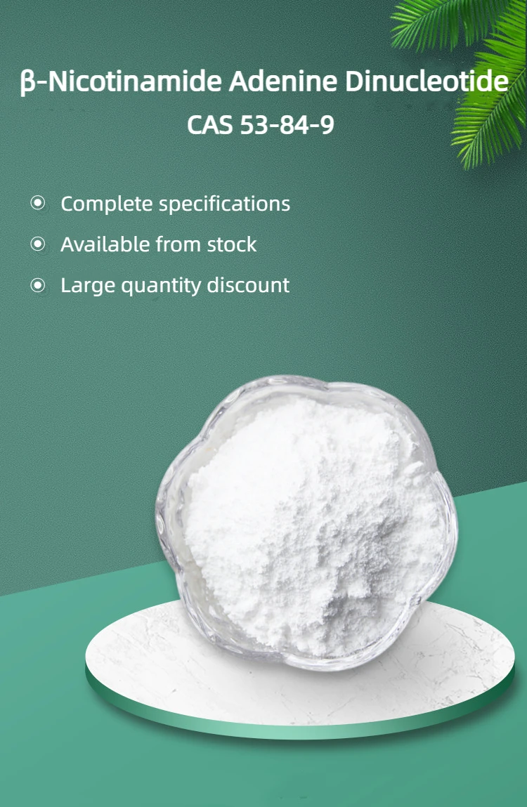 Beta Nicotinamide Adenine Dinucleotide/ Nad+/ Nad Cas 53-84-9 Anti-aging - Buy Beta Nicotinamide ...