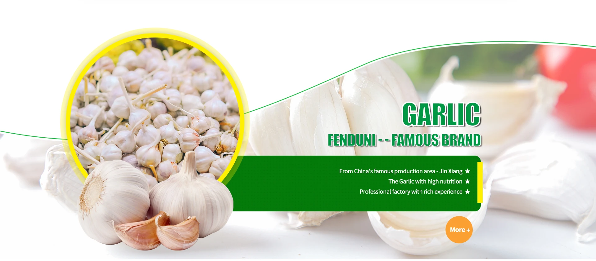 Jining Fenduni Foodstuff Co., Ltd. - Garlic; Onion; Potato; Ginger ...