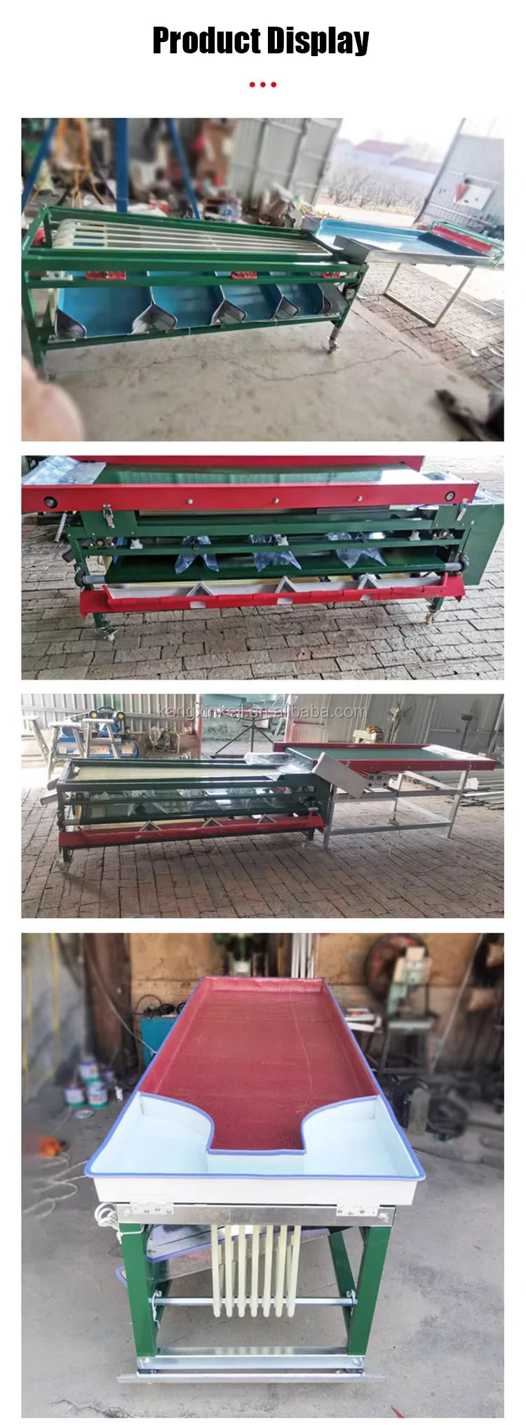 Commercial Jujube Dates Grader Cherry Tomatoes Sorter Passion Fruit ...