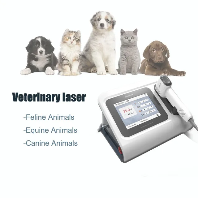 30w Class IV Dogs Pain Relief Device Cold Laser Therapy Machine ...