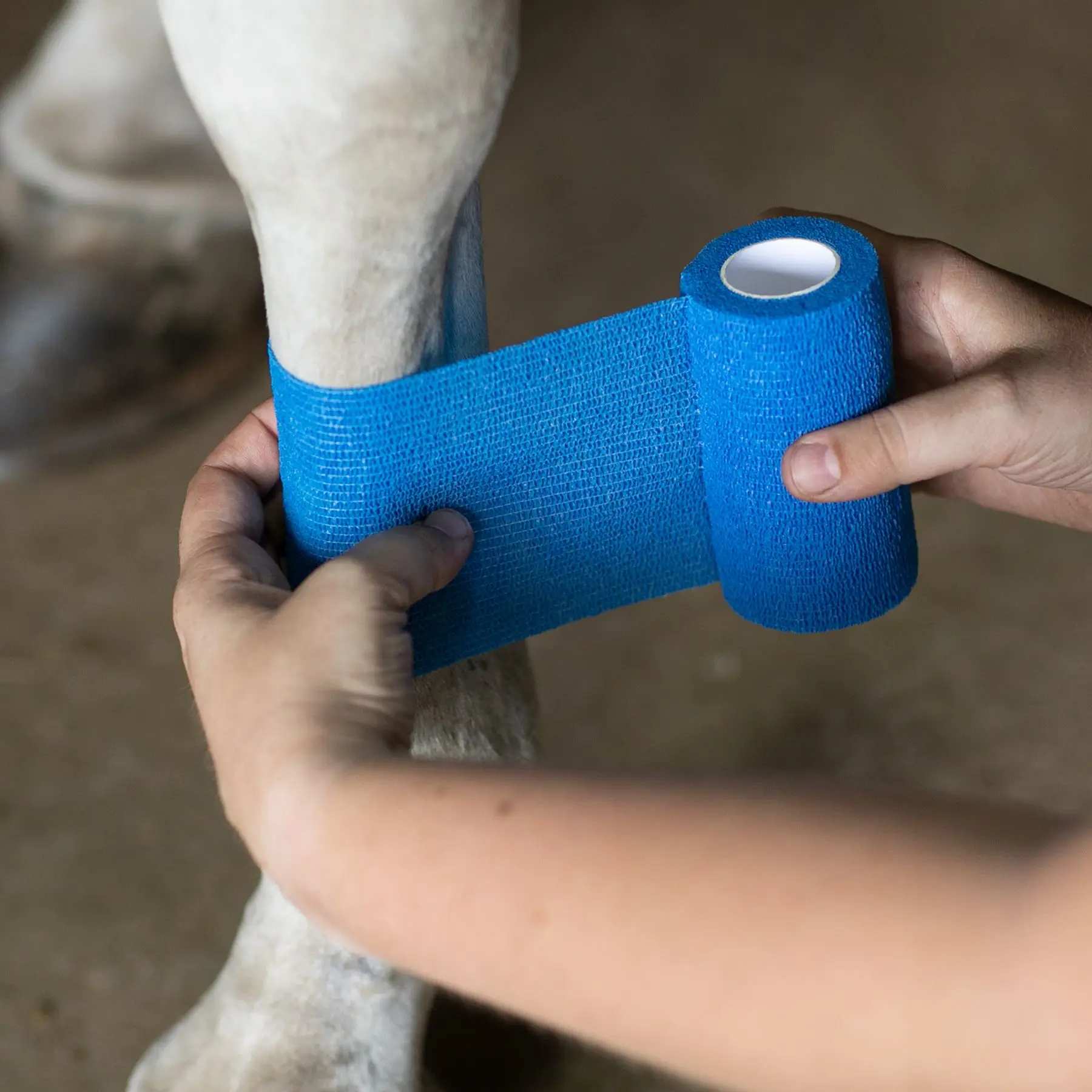 Equine Product - Self Adhesive Hock Wrap Bandages for Horses