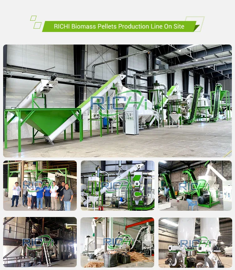 RICHI 1-2 T/H Industrial Olive Pomace Pellet Production Line