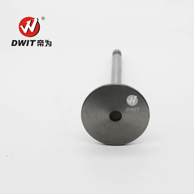 3306 Engine Intake And Exhaust Valve 6n9915 Engine Valve For ...