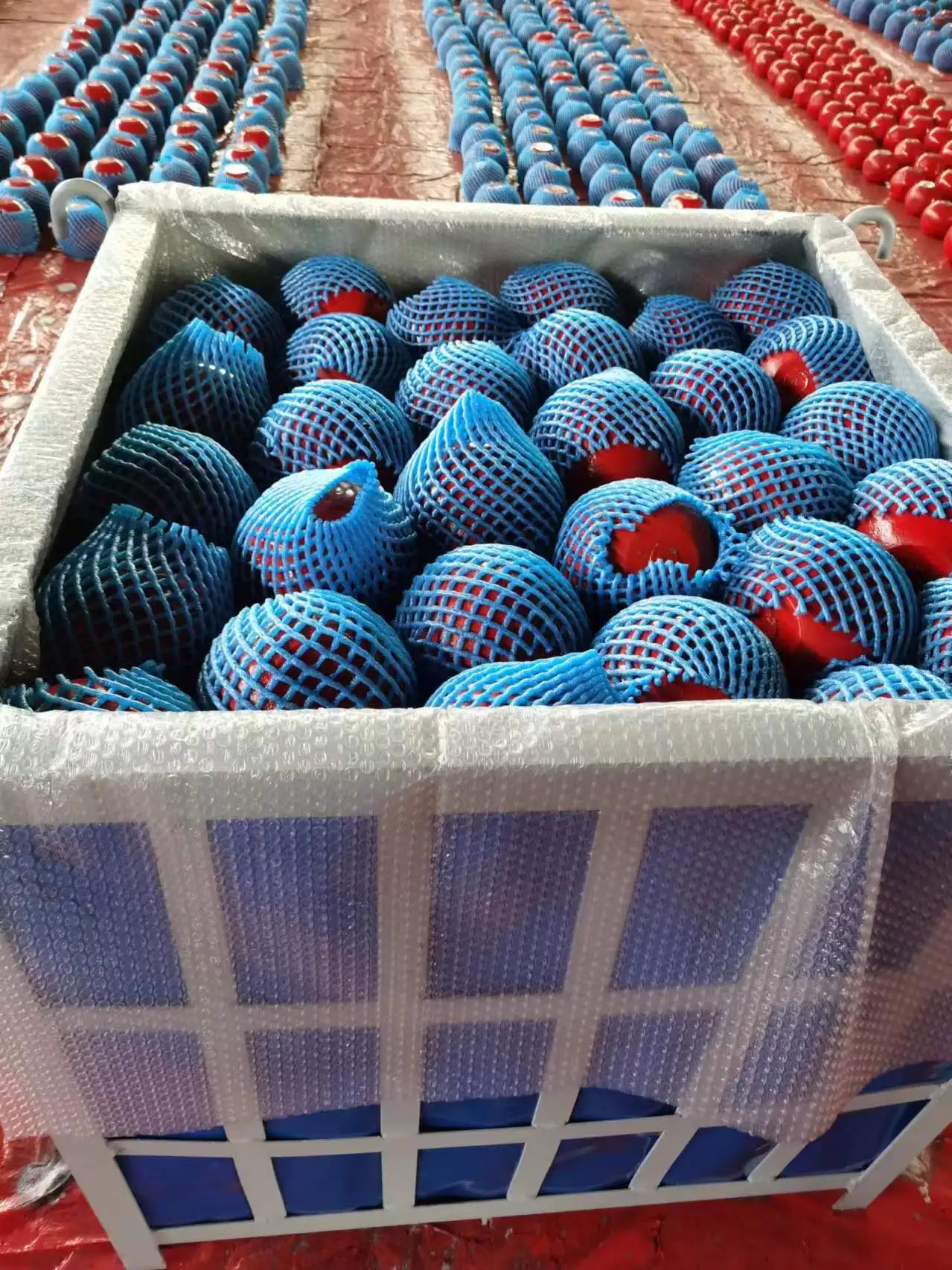Prefabricated Bolted-Sphere Grid Structure for Gas Station Roofs ...