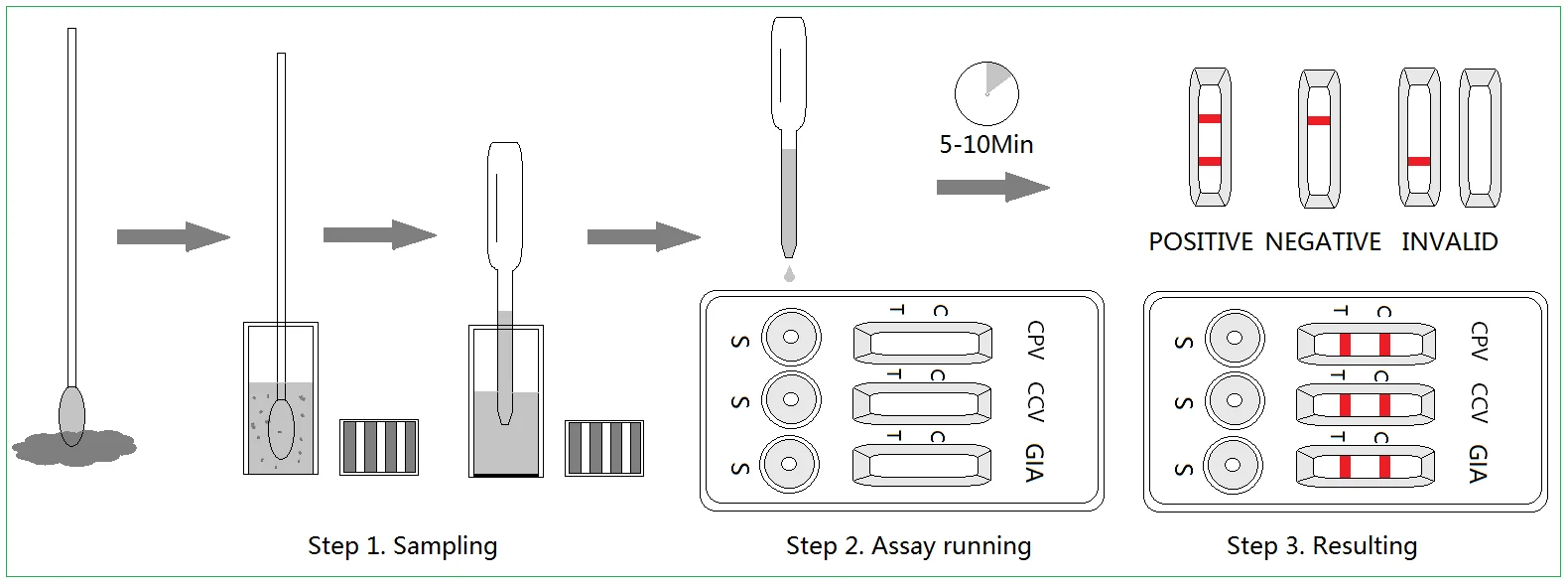 Veterinary Fast Tests Diagnostic Parvovirus Antigen Canine Cpv +ccv ...