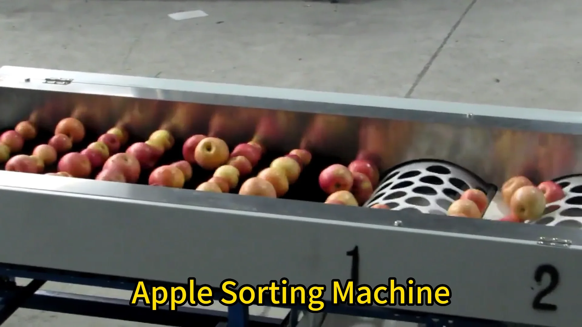 Oem Garlic Grading Machine Apple Sorting Machine Garlic Sorter - Buy Garlic Sorter garlic ...