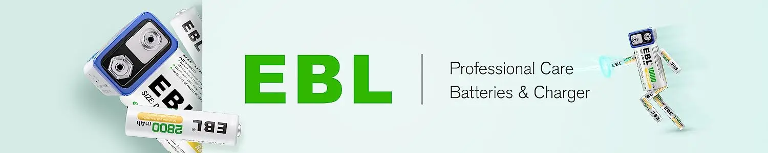 EBL Rechargeable AAAA Batteries - 4 Counts with Smart Charger