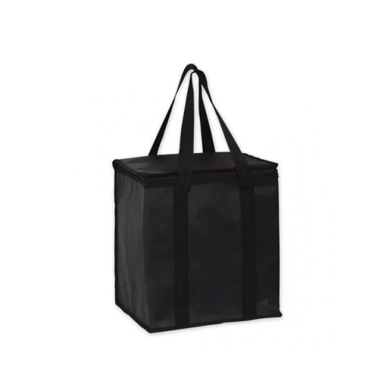 Shop Our Hot Selling Non-Woven Insulation Bag - Perfect for Ice and ...