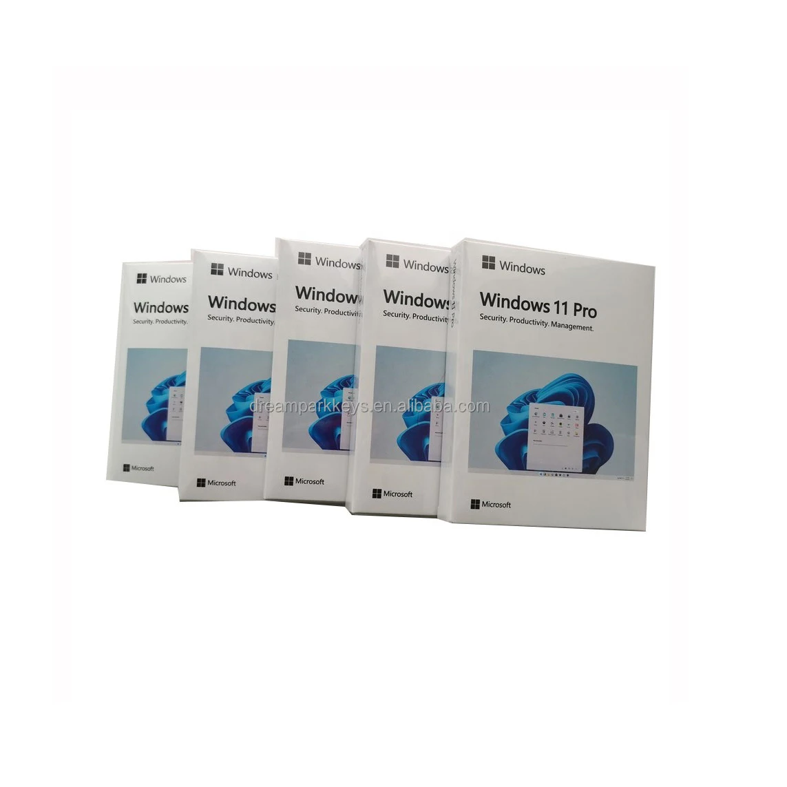 Microsoft Windows 11 Pro Activation Online Usb Box Win 11 Professional ...