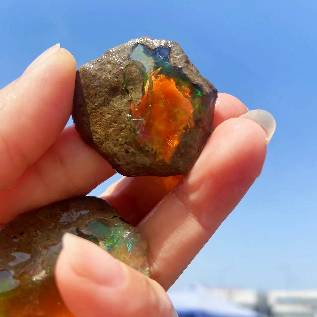 High Quality Natural Opal Crystal Rough Ethiopian Fire Opals Stone Raw Mineral Specimen For ...