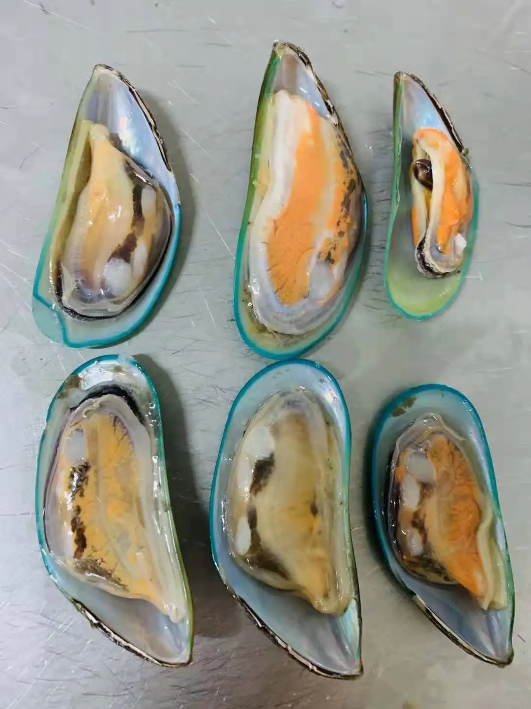 Frozen Green Mussel Meat Indonesian Without Shell - Buy Indonesian ...
