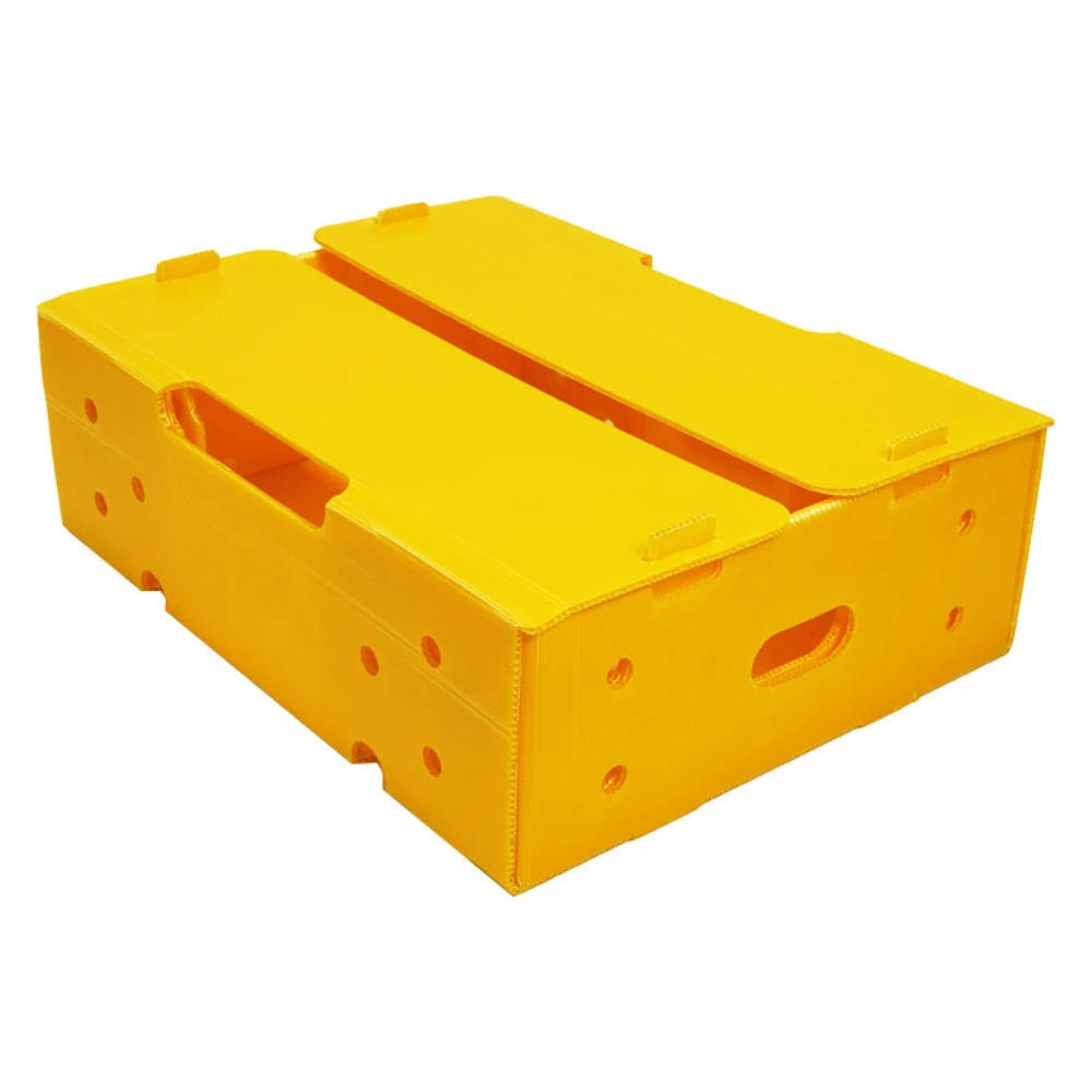 Environmental Friendly Pp Plastic Corrugated Danpla Corflute Box For ...