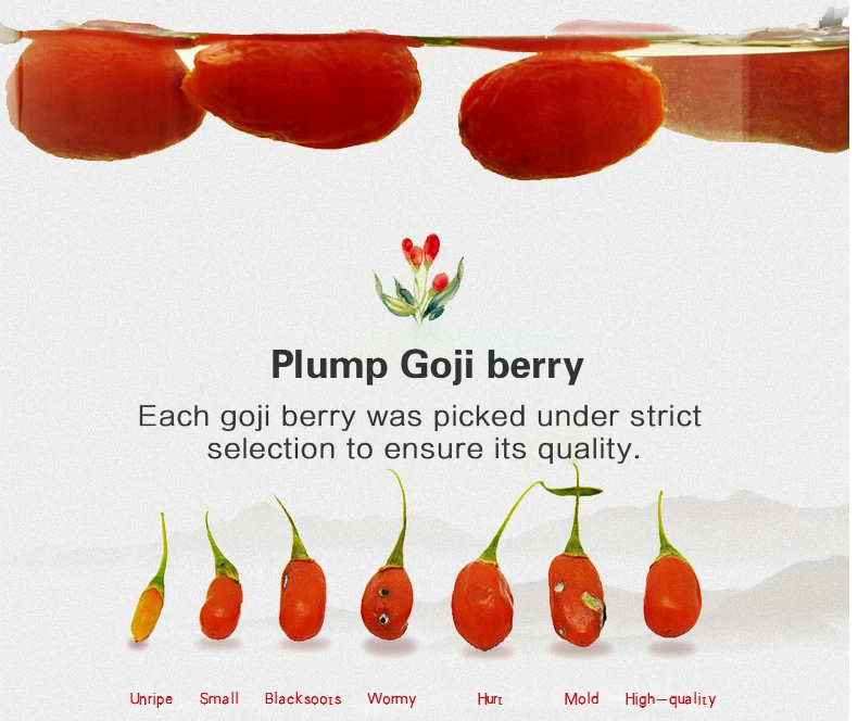 Wholesale High Quality Herbal Healthy Fruit Barbary Dried Chinese ...