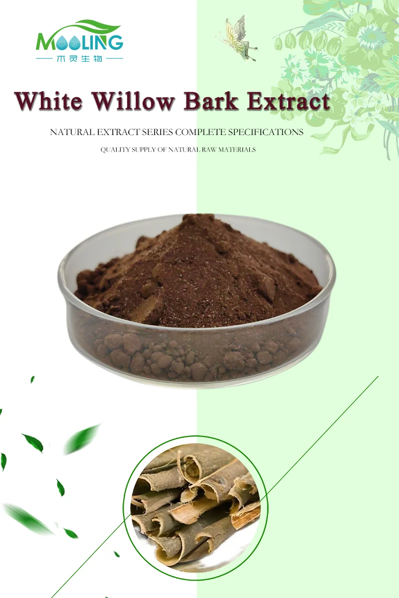 Wholesale Herbal Salix Alba Extract White Willow Bark Salicin Powder ...