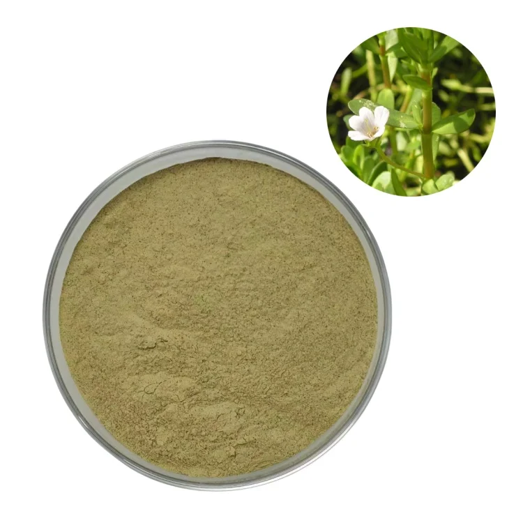 High Quality Bacopa Monnieri Extract Brahmi Extract Bacoside 20% HPLC ...