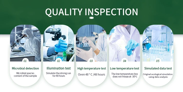 OEM Adult Glute Growth Supplement BBL Pills Luxury Butt Booster