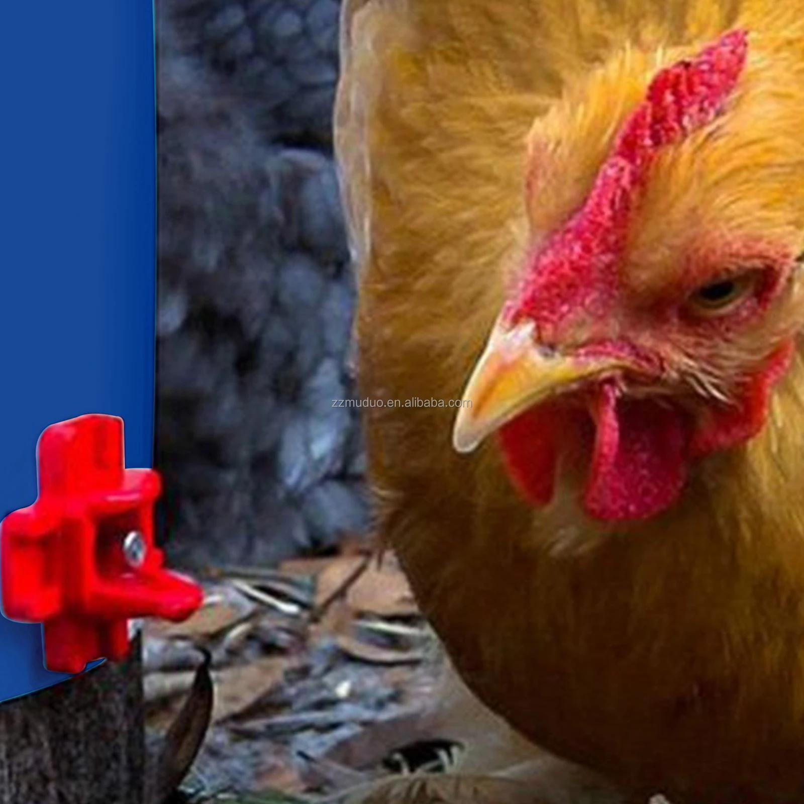 Automatic Chicken Waterer Mini Breeder Bucket Drinker Horizontal Nipple ...