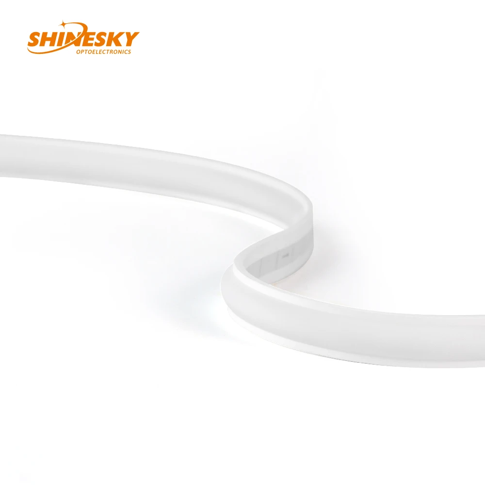 Cob Plus 12mm Wide Digital Ucs1903 Rgb Cob Addressable 5m Light Strip ...