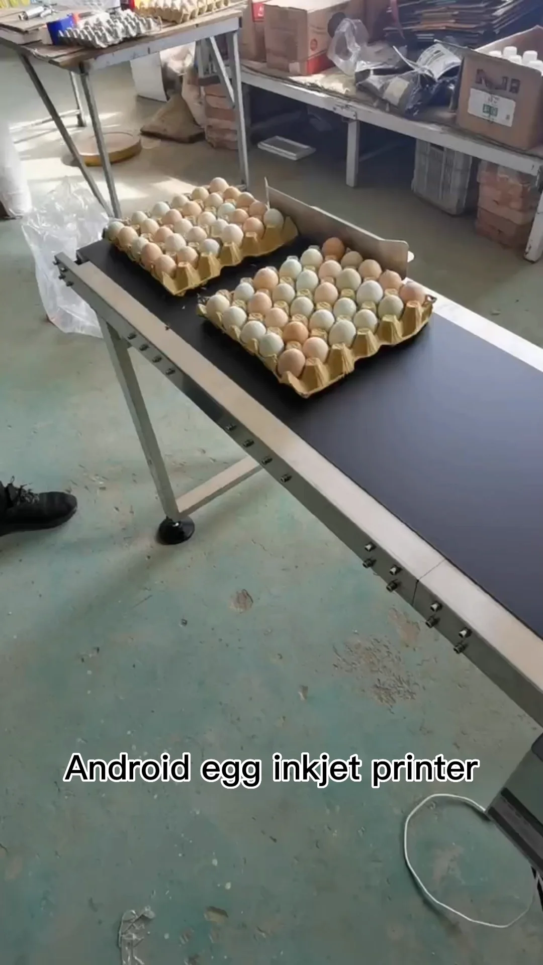 6 Heads Egg Printing Machine Egg Date Printer Durable Inkjet Egg Code Printing Machine For Sale ...