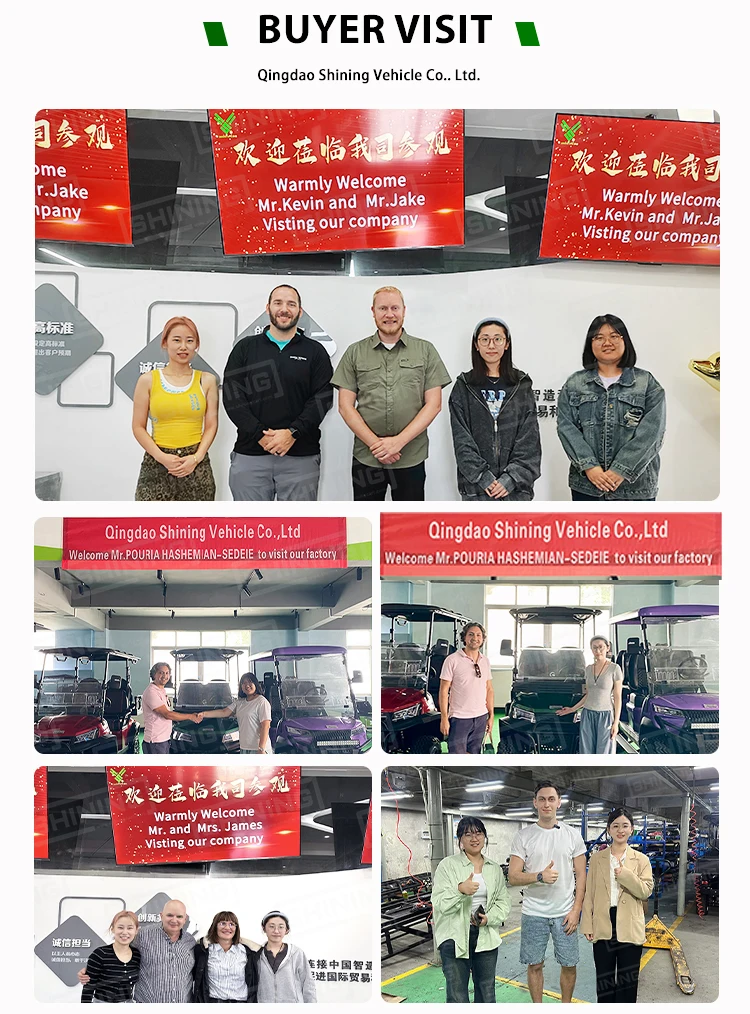 Electric Mini Moke - 4 Seats, 4x4, Customize Options