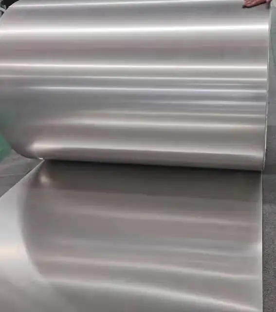 Stainless Steel Belt for Pastillator - Durable & Adjustable