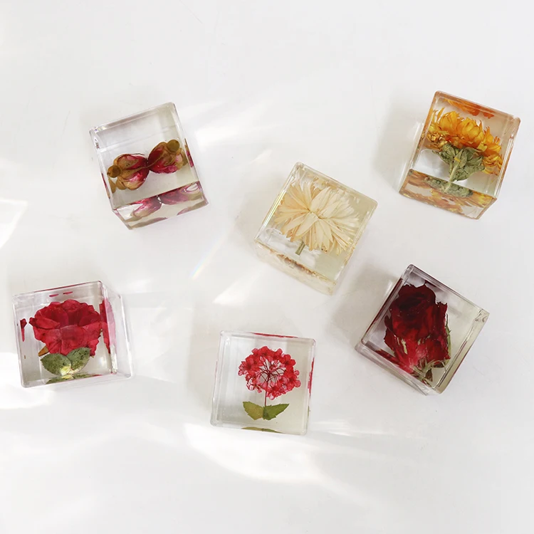 Resin Dried Flower Shaped Transparent Teaching Tool Gift Acrylic Flower ...
