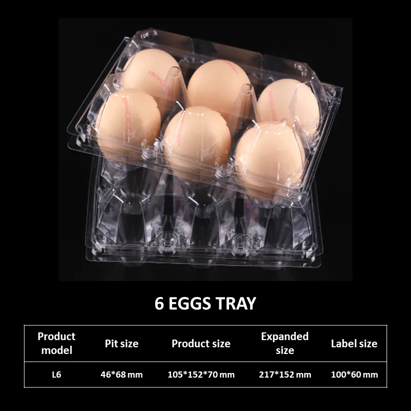 Transparent PET Egg Carton with Handle for Eggs Storage - OEM/ODM