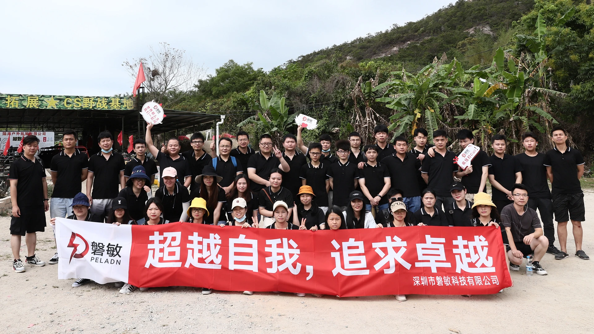 Peladn Geforce GTX 1050 Ti - 4GB Graphics Card for Gaming