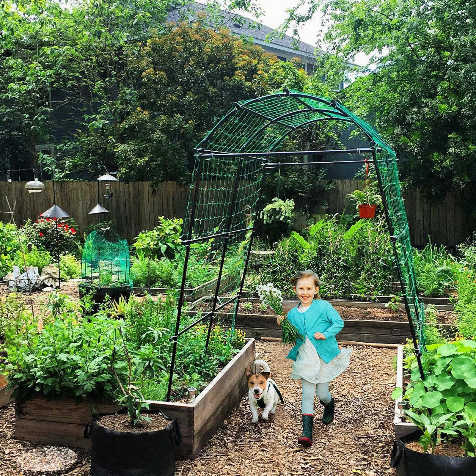 Metal Garden Arch Trellis for Vegetables Cucumber Trellis for Tomato ...