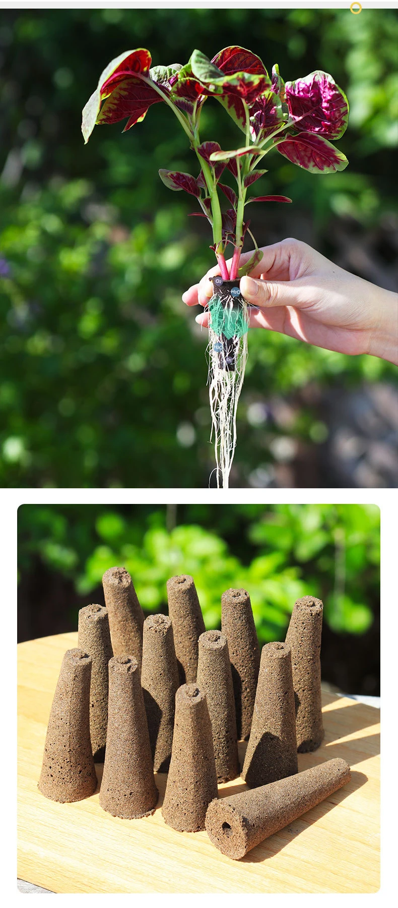 Grow Sponges Seedling Starter Plugs Root Growth Sponge Plugs Compatible ...