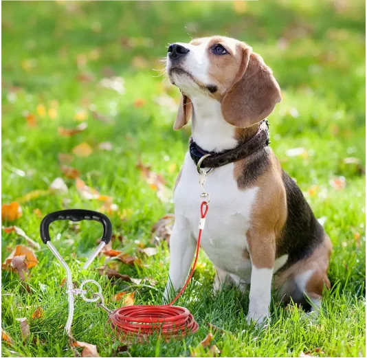 Steel Wire Rope Sling with Snap Hook 5mm for Dog Tie Out