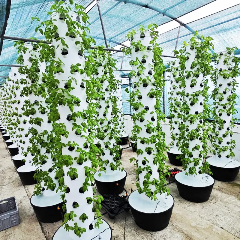 Vegetable Hydroponics Tower Vertical Tower Growing Wall Systems Column ...