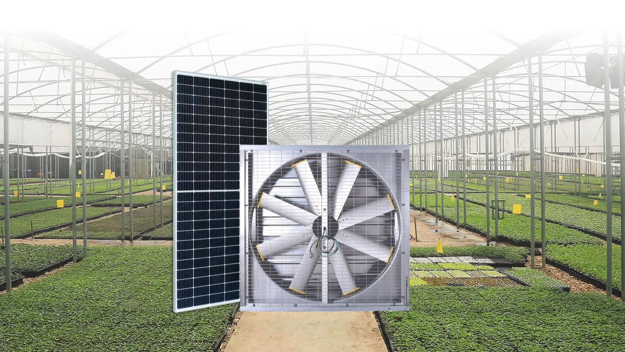 Energy Saving Solar Powered BLDC Motor Wall Fan for Industry