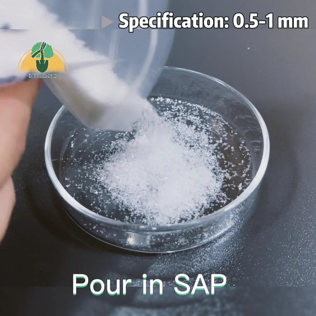 Wholesale Sap Potassium Polyacrylate Water Gel Solid Rain Agriculture ...