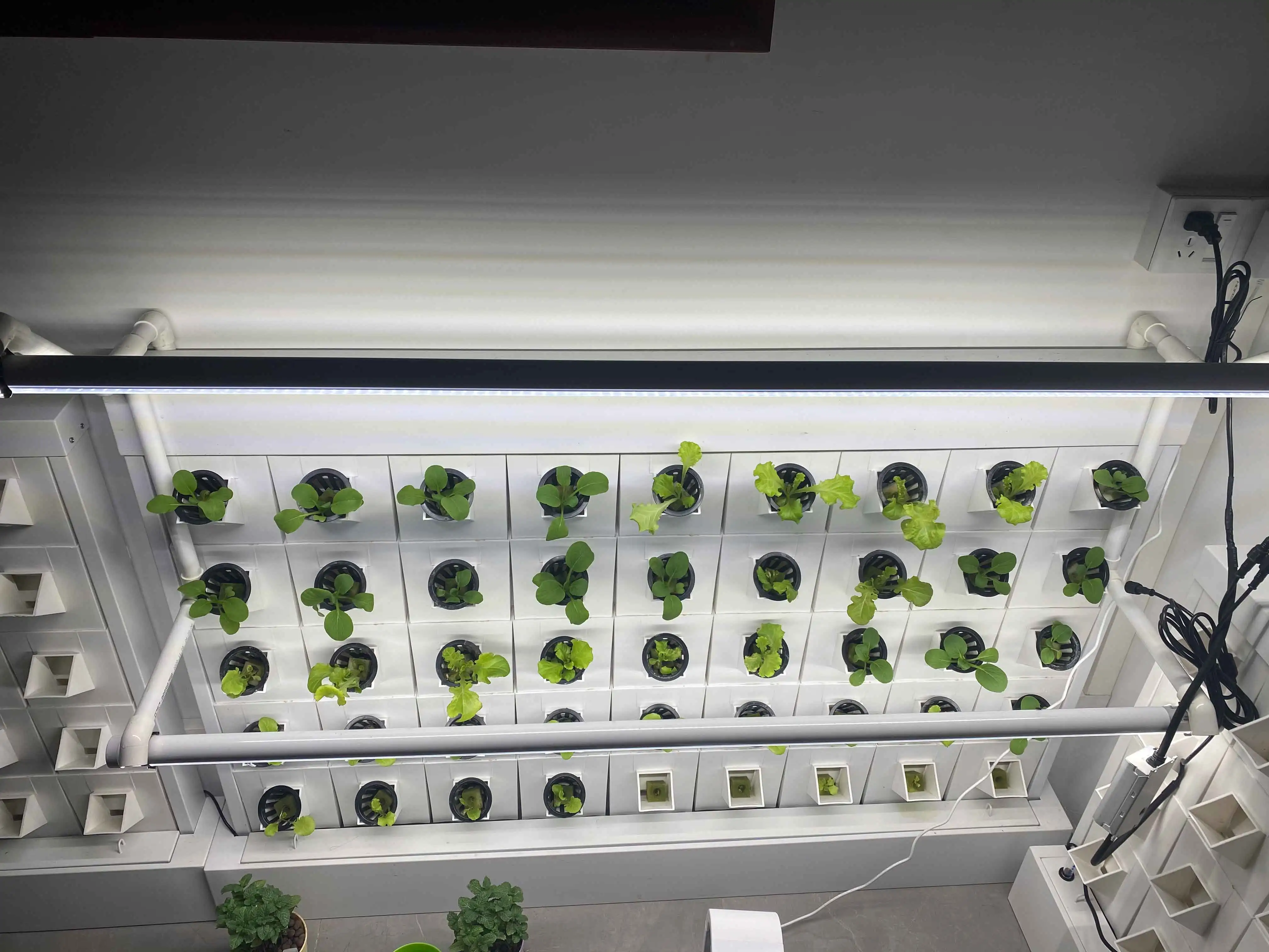 Skyplant Wall Type Hydroponic System - Easy Vertical Growing