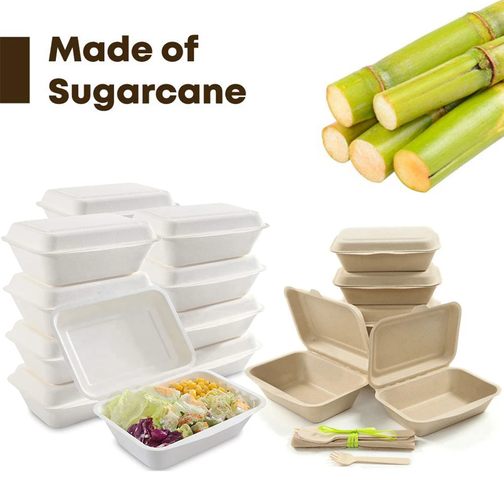 600ml Biodegradable Takeaway Sugarcane Lunch Food Box - Buy Sugarcane ...