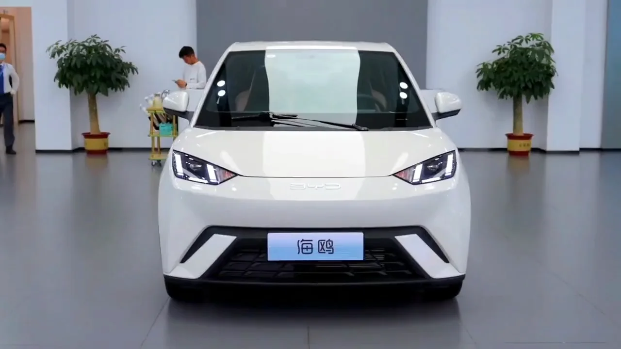 Byd Dolphin Ev 2024 New Energy Hatchback Cars 301km Pure Electric Car 4 Wheel Long Charging ...