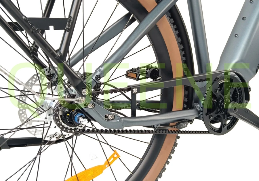 QUEENE/28 Inch E-Bike - Fast Electric Bike with 750W Power